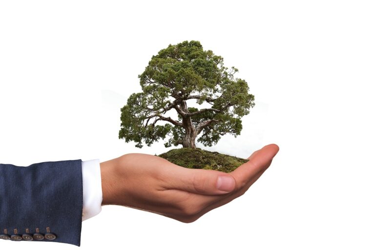 Gen Z's Impact on Environmental Activism and Sustainable Living - The ...